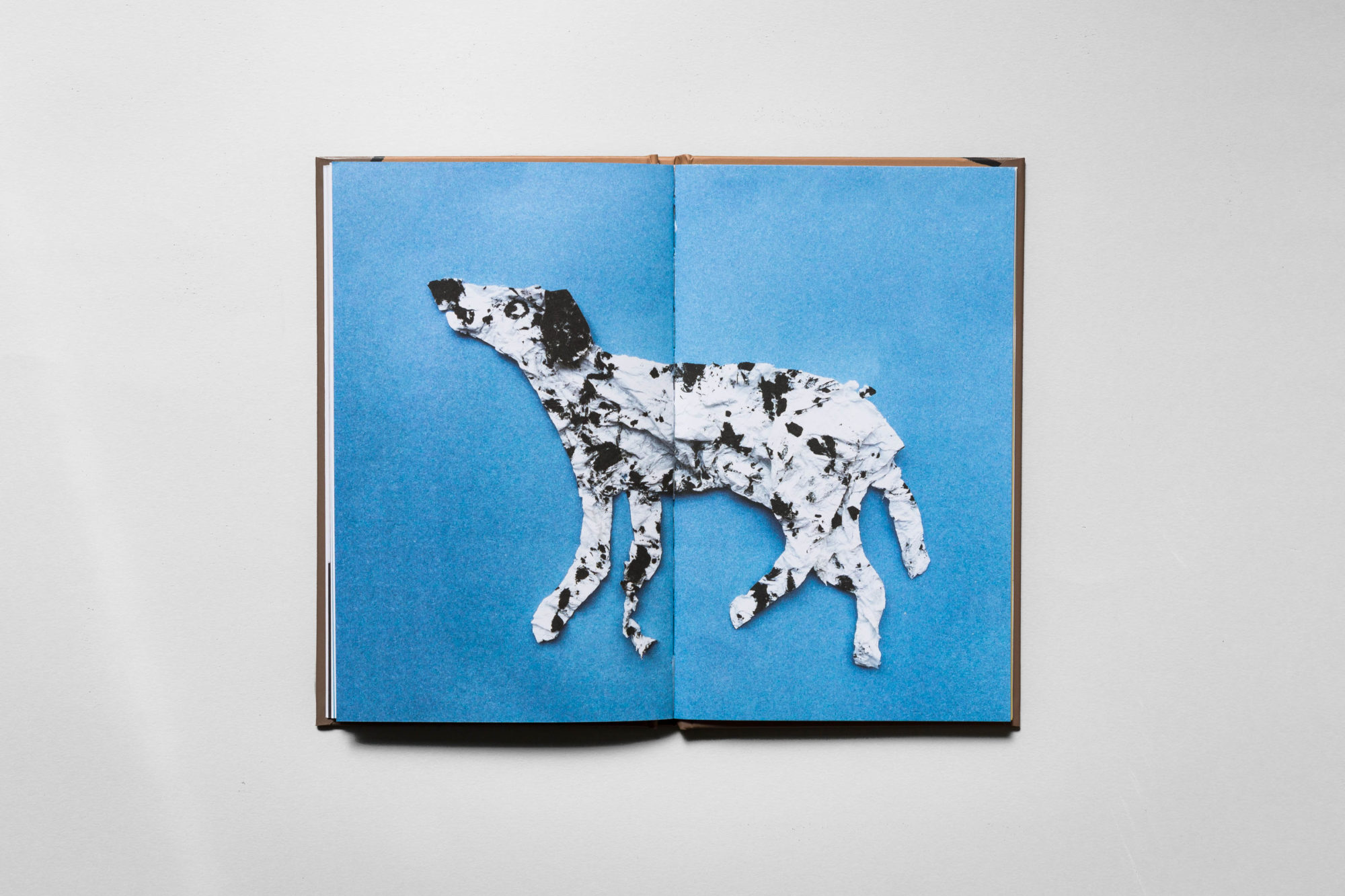 Mélanie Dautreppe Liermann – Artist and Designer